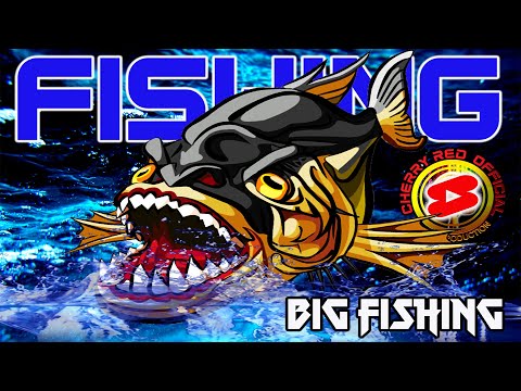Fishing Big Fish #SHORTS