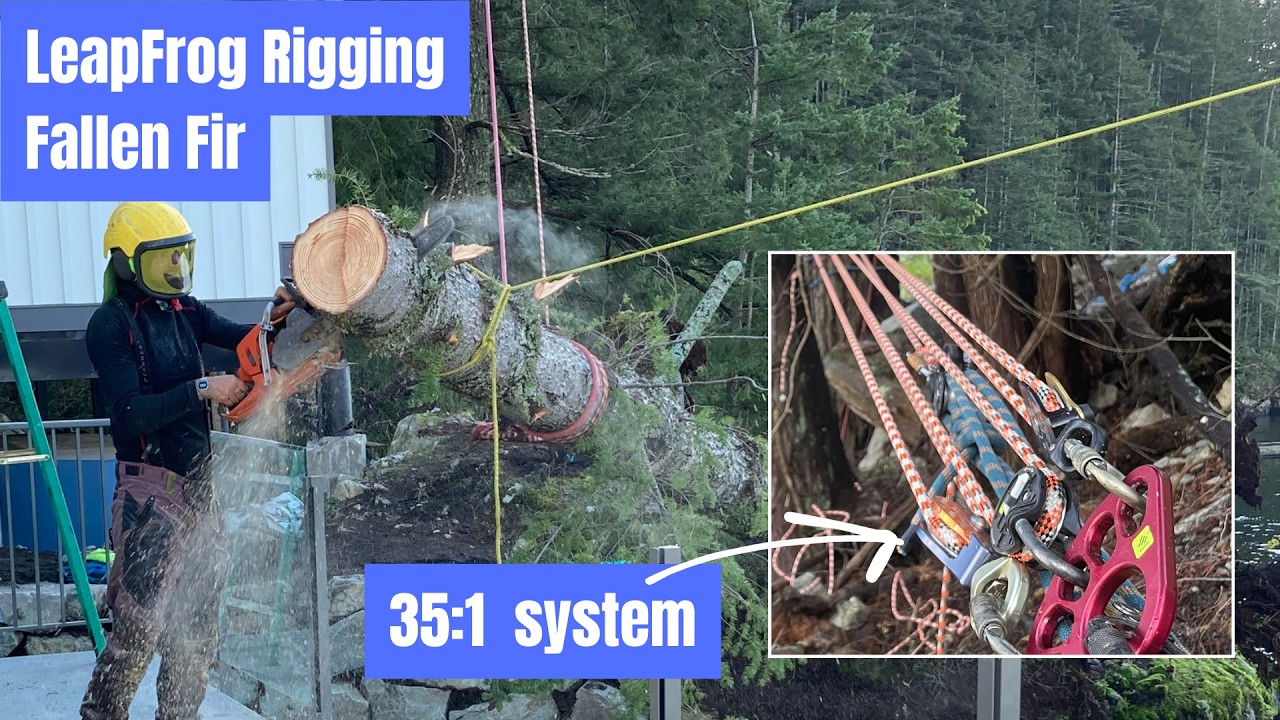 LeapFrog Rigging system - Lifting fallen tree off a house using only ropes and mechanical advantage