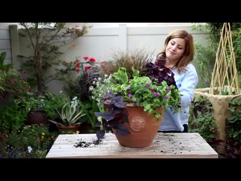 How To Create A Shade Container