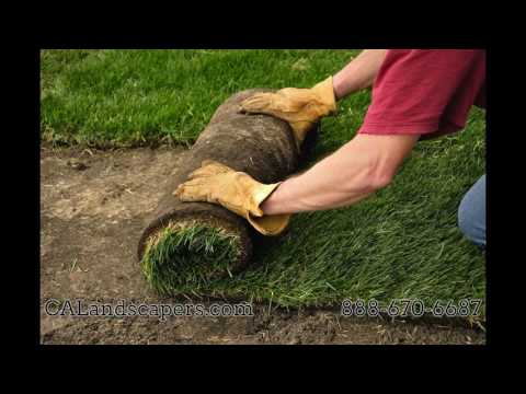 Costa Mesa Landscapers