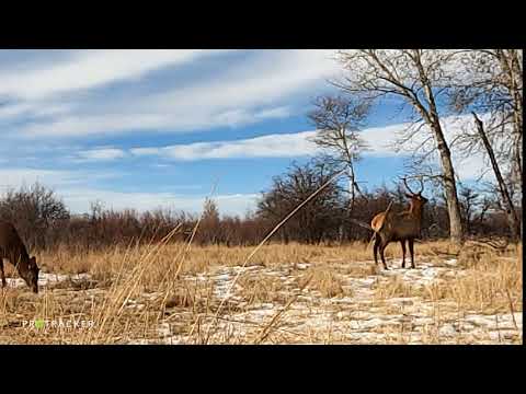 Pro-Tracker Archery—Bad Boys FOC Arrow Sleeve Pass Through