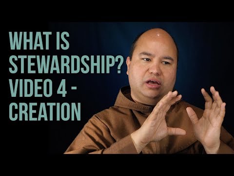 What is a Steward of Creation?