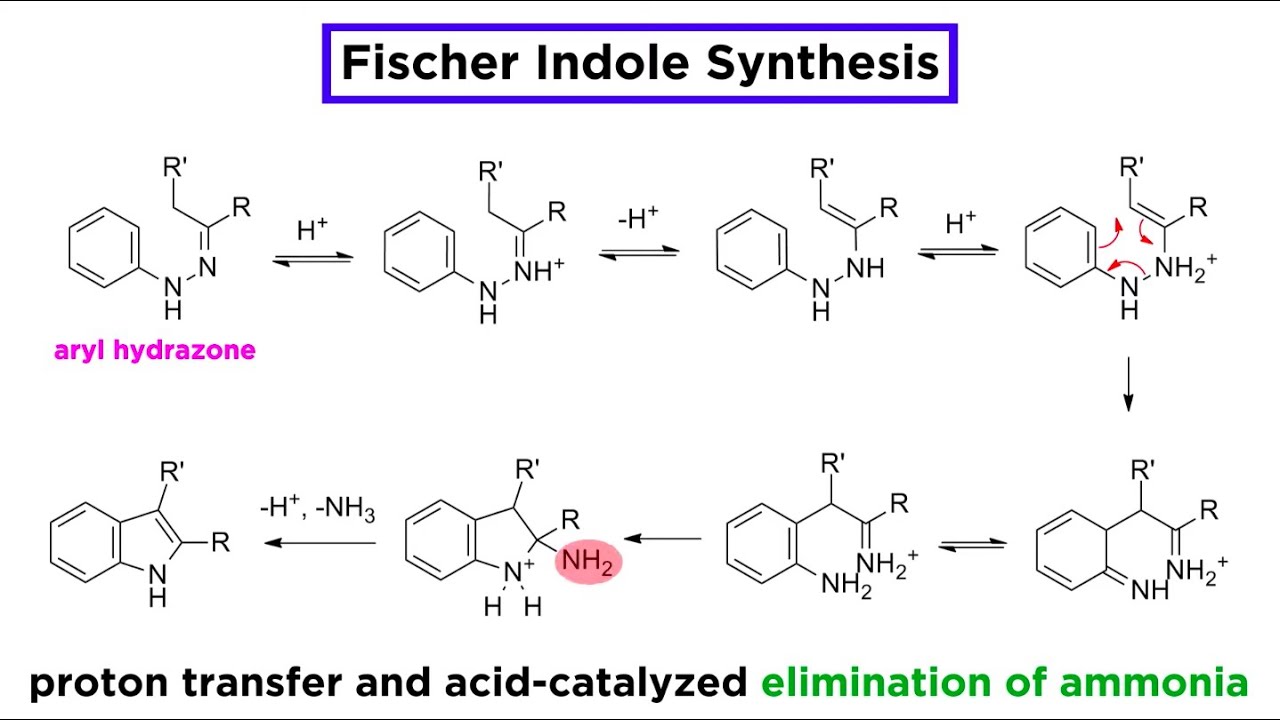 Fischer Indole Synthesis