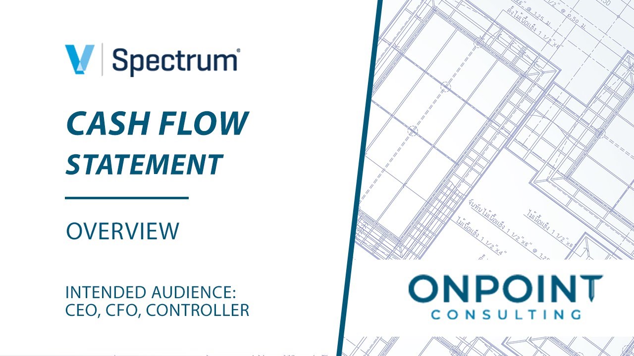 Viewpoint Spectrum Cash Flow Statement - Overview