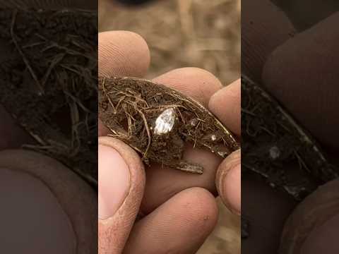 I found a £10,000 DIAMOND while METAL DETECTING #treasure #metaldetecting