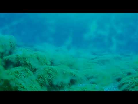 GLOS SLBE Sleeping Bear Benthic Cam 2019-08-31
