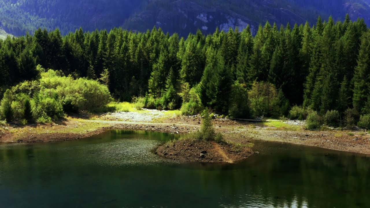 Beautiful Resort – Dreamlike Forest Haven 4K