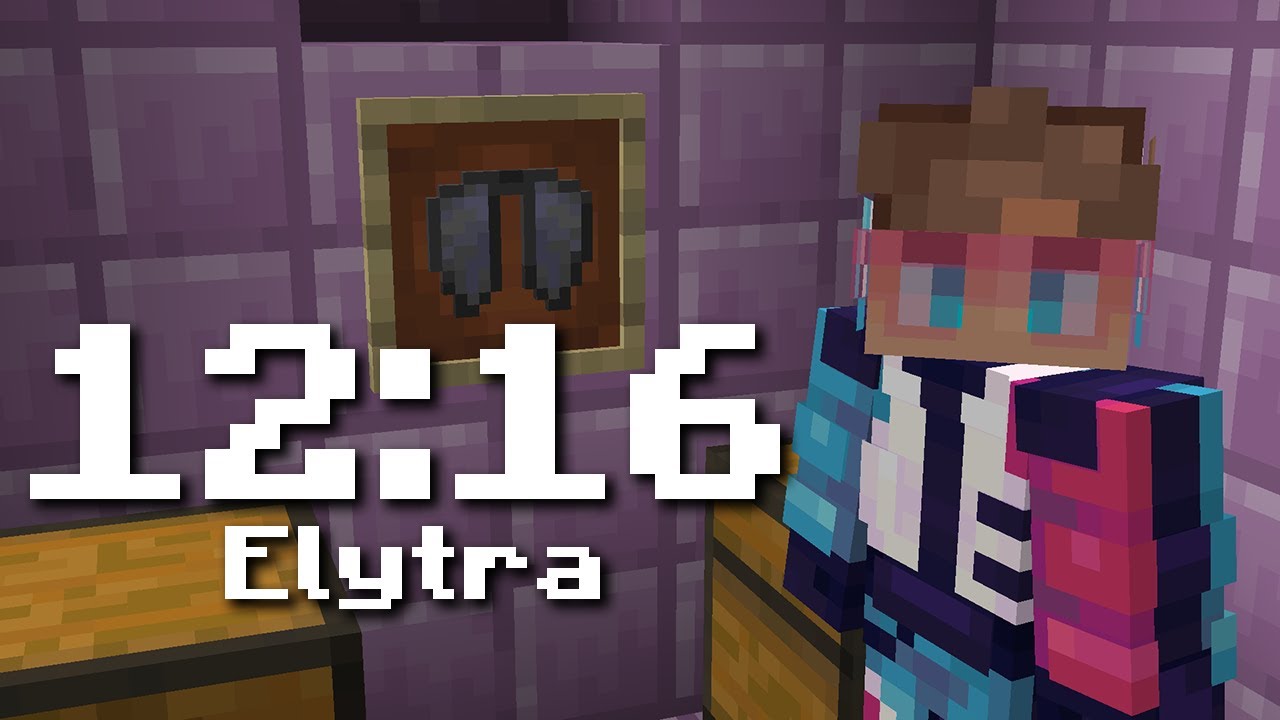 12:16 elytra (wr)