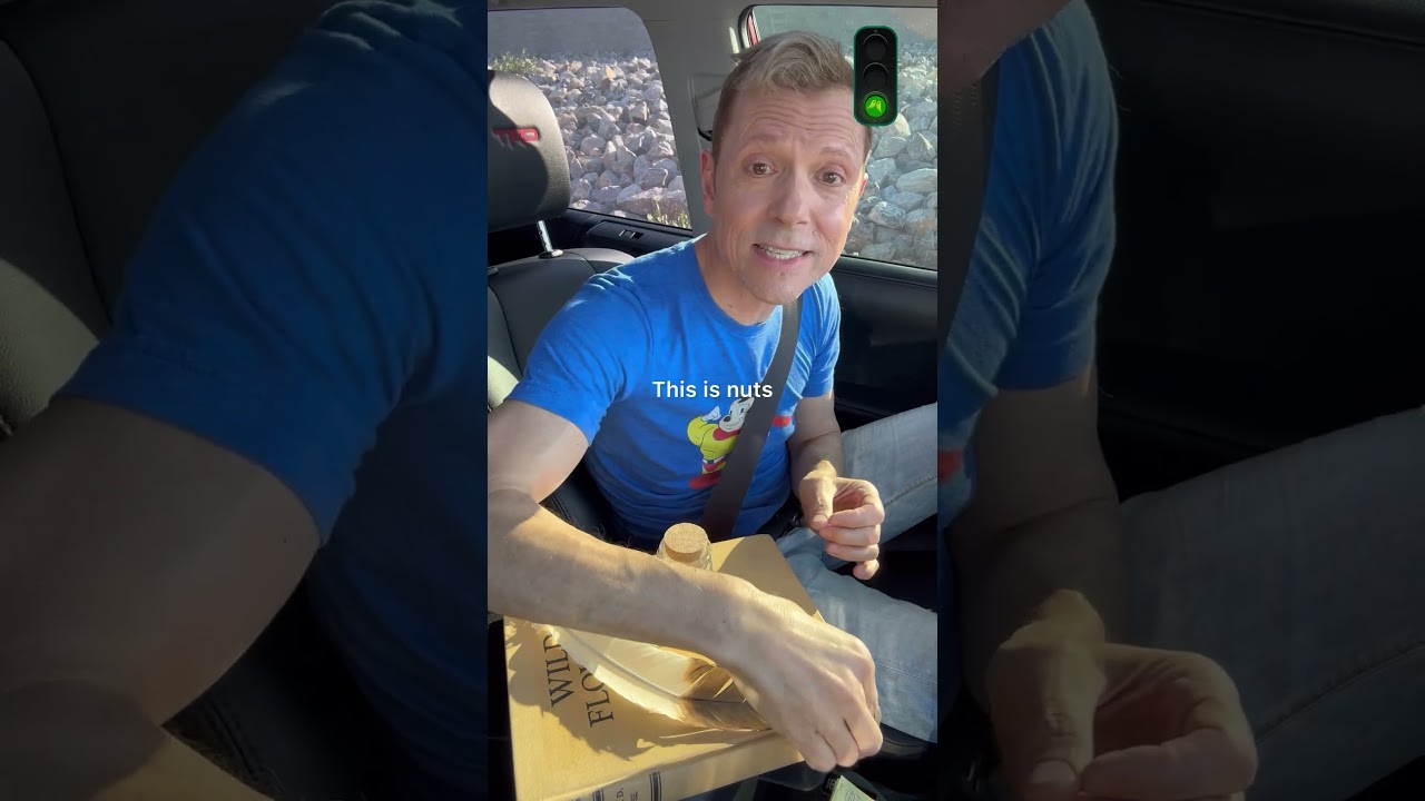 Stop Light Magic!🚦#magic #magician #magictricksvideos #driving #reels #coin #puzzle #illusion #wow