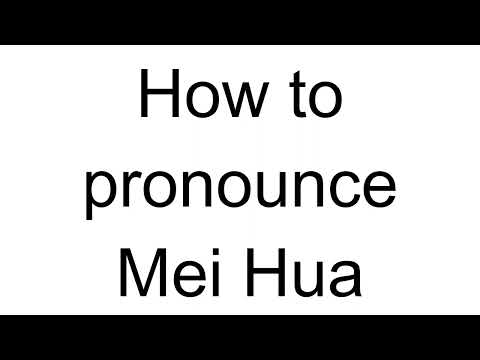 How to Pronounce Mei Hua (Chinese)
