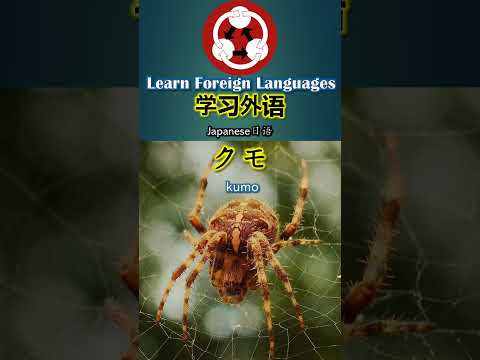 How to say spider in Japanese #shorts #foreignlanguage #howtopronounce #spider