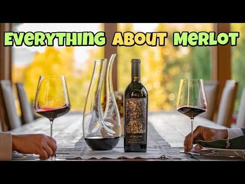 Everything You Want to Know About Merlot
