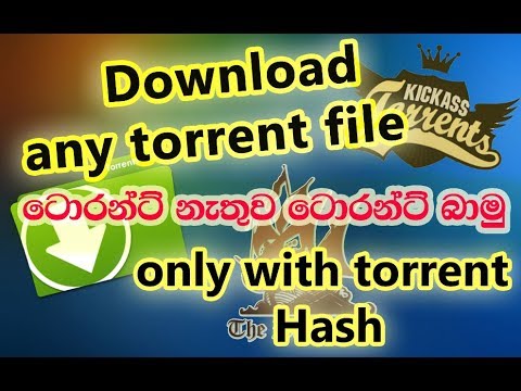 Download torrents with Info Hash