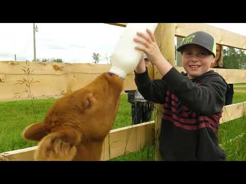 Are you a family medicine physician who loves to raise animals?