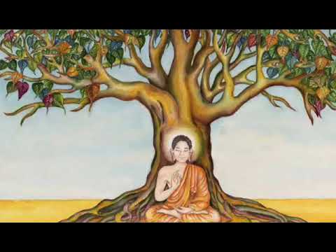The History Of Peepal Tree #History #VanMahotsav #Peepaltree #NationalMuseumofNaturalHistory