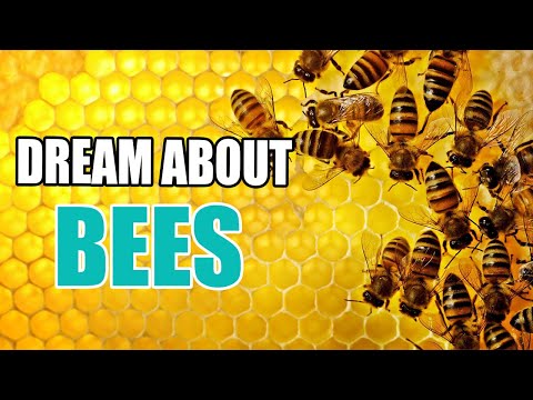 True Meaning And Right Interpretation Of Dreams About Bees - Sign Meaning