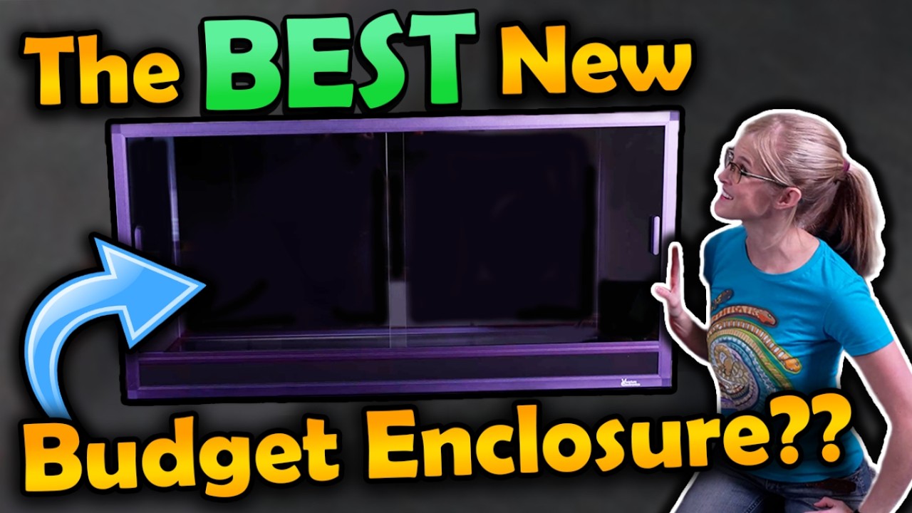 Reviewing the new VE Enclosure! (4'x2'x2')