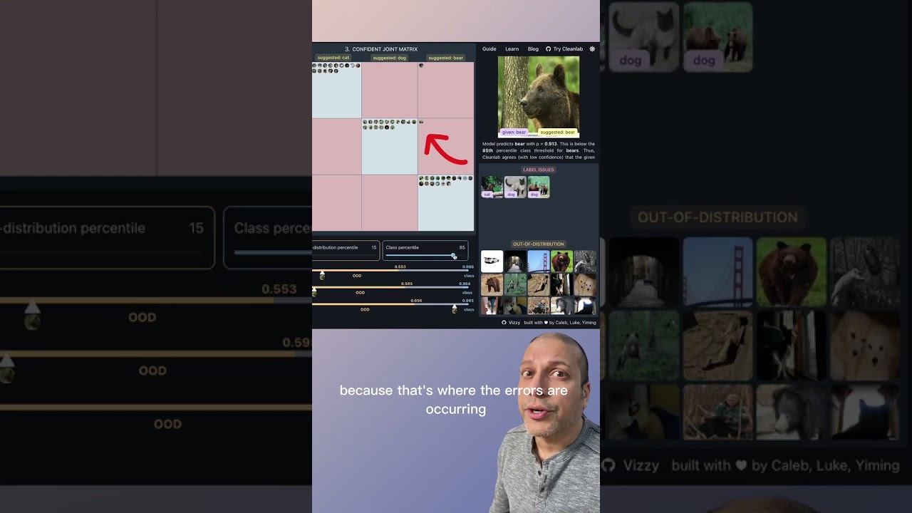 Label Errors and CleanLab