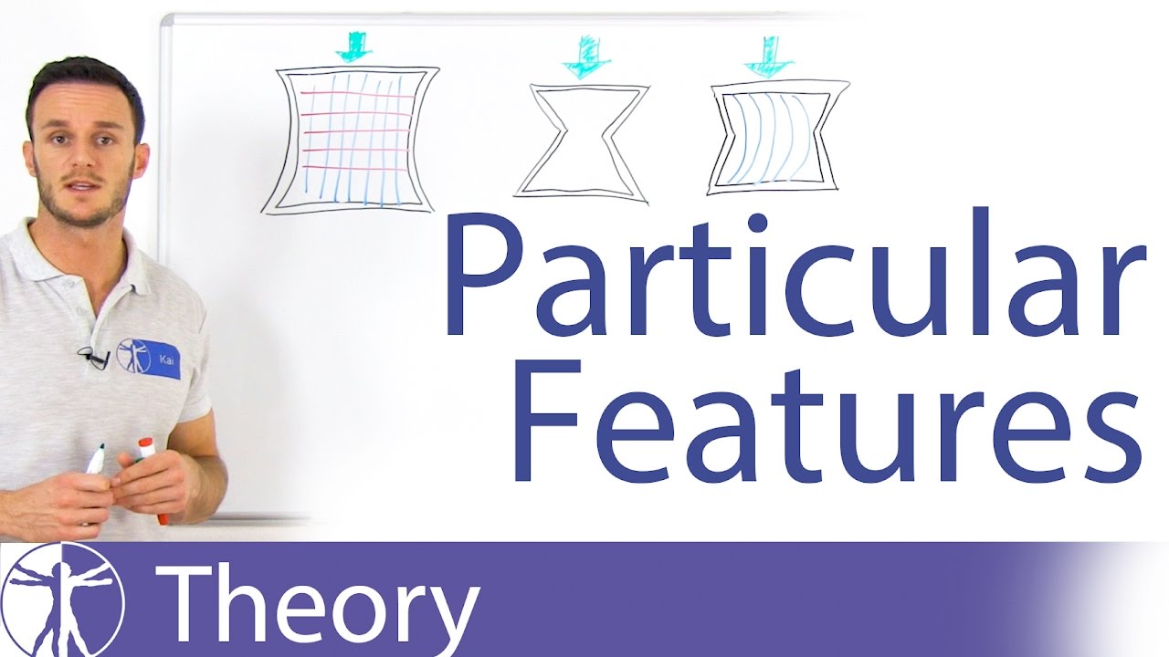Particular Features of a Lumbar Vertebral Body | Lumbar Spine Series