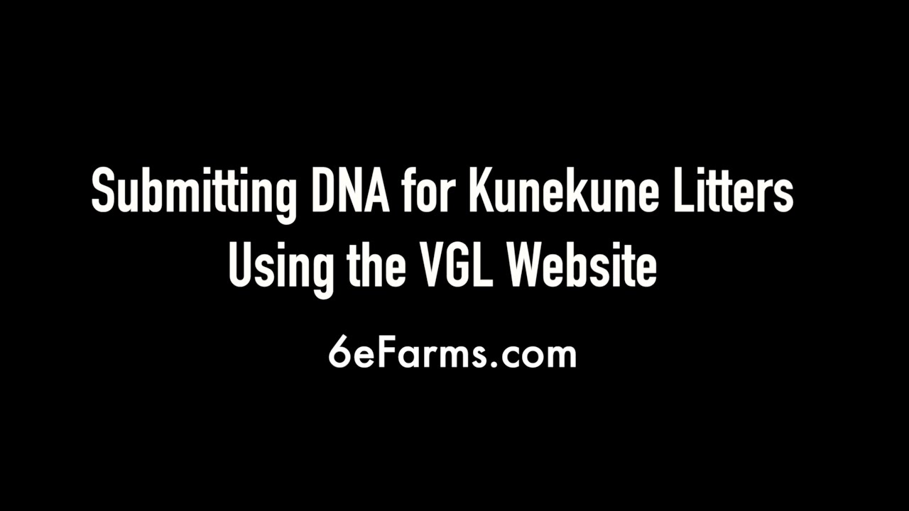 Submitting DNA for Kunekune Piglets with VGL