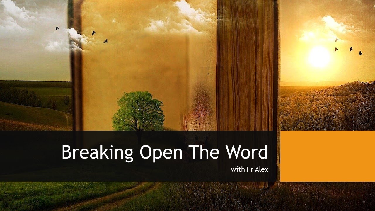 Breaking Open The Word on the Feast of the Assumption of the Blessed Virgin Mary
