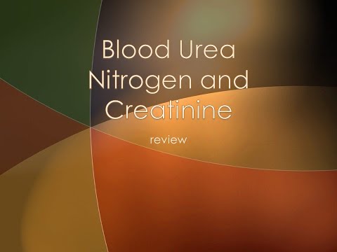 BUN and Creatinine - clinical chem lab tests review