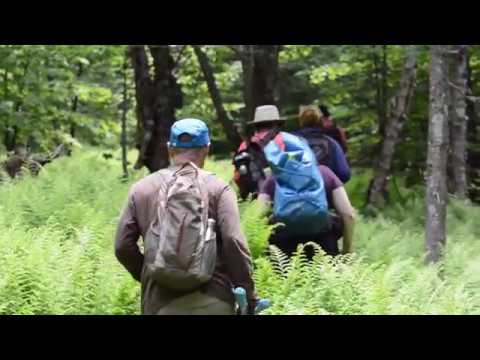 Long Island - Rayworth Beach Nature Preserve