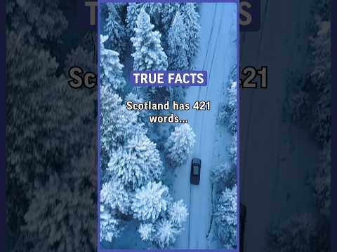 Scotland has 421 words for snow ❄️ #true #facts #interesting #psychology