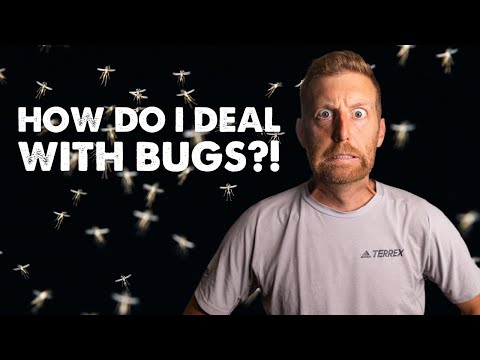 Keep Mosquitos, Ticks, and Bugs Away When Camping and Backpacking: Tips and Tricks to Keep You Sane