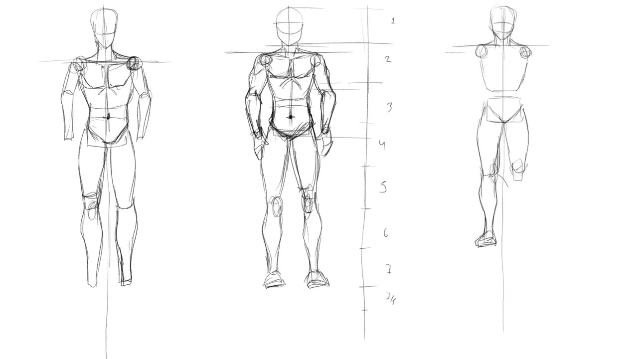 Drawing Practice Day 55 | ANATOMY