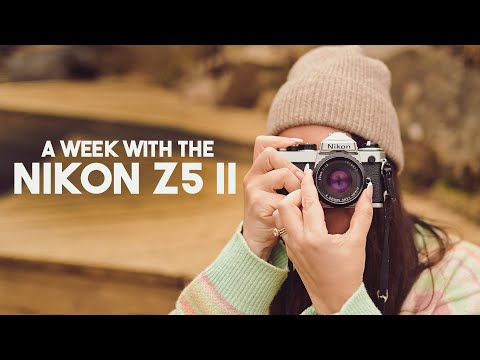 Nikon Z5 II: Sample footage (SOOC) (1680)