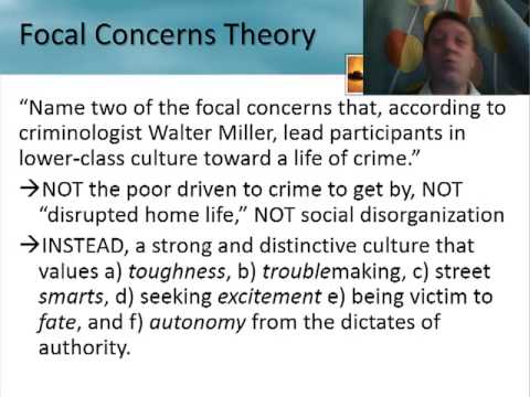 Crim Review: Routine Activities, Victims, Focal Concerns, Labeling Theory