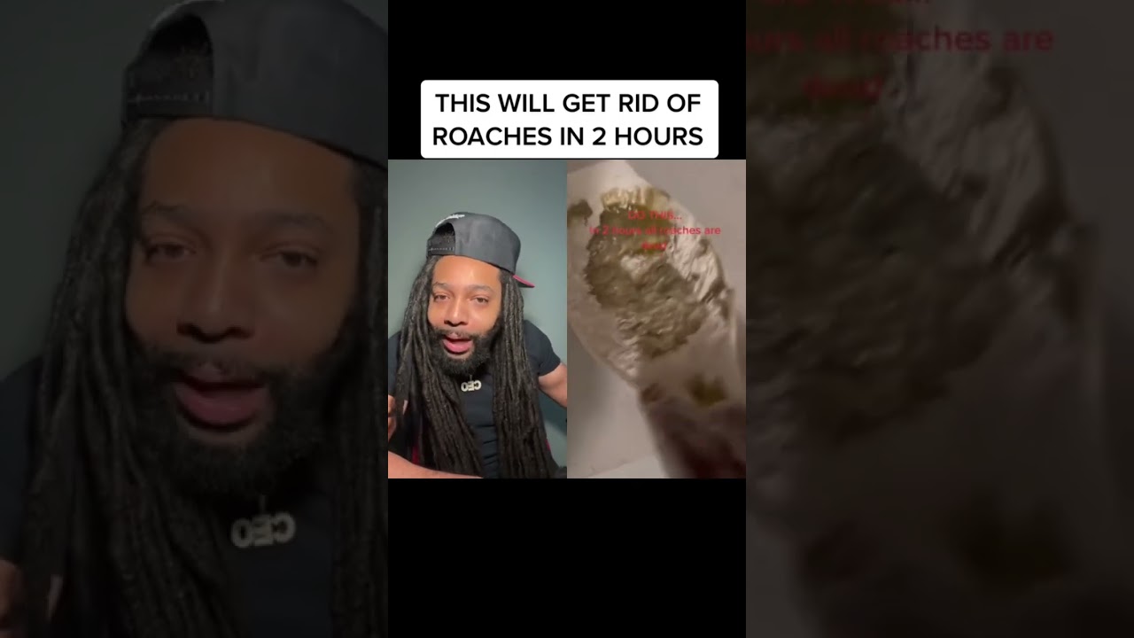 This will get rid of roaches in 2 hours #shorts #youtubeshorts