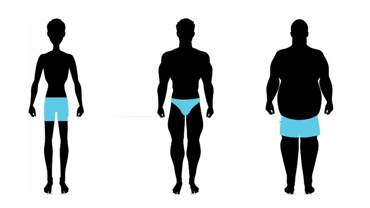 figure-body shape ASL