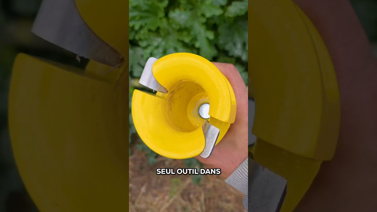 Fabriquer  Structures et Barrières en bois au jardin pour pas un rond ! #autonomie #bois #diy