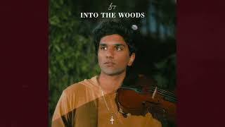 joel sunny - into the woods [original song] - official audio