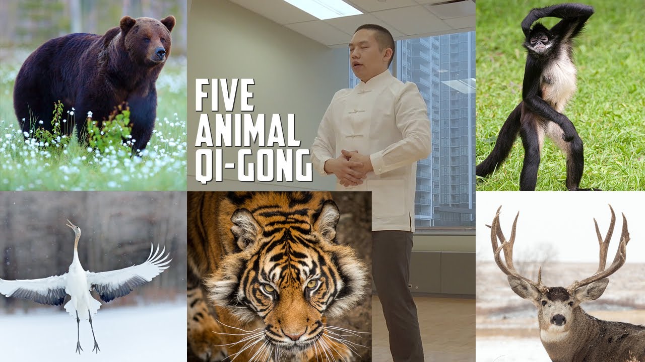 The Five Animals Qi Gong – Exercises that Strengthen Your Mind and Body