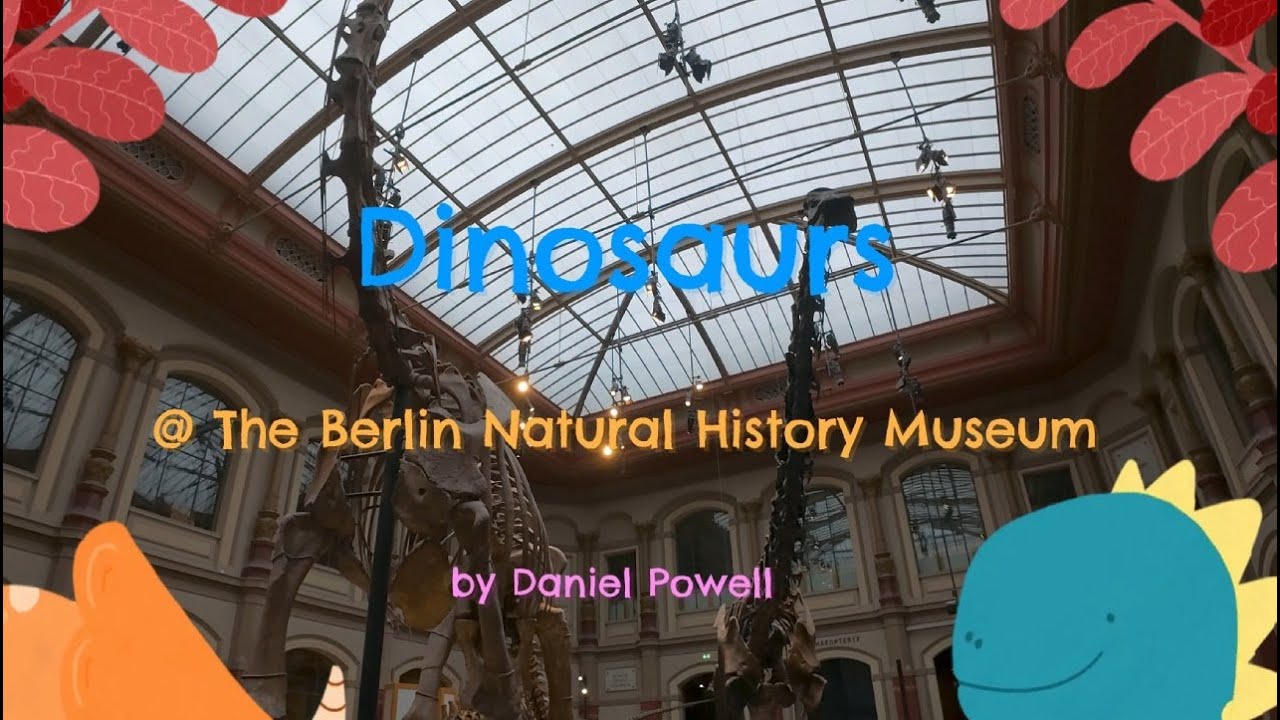 Brachiosaurus v Diplodocus v Kentrosaurus Museum of Natural History Berlin