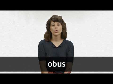 English Translation of “OBUS” | Collins French-English Dictionary
