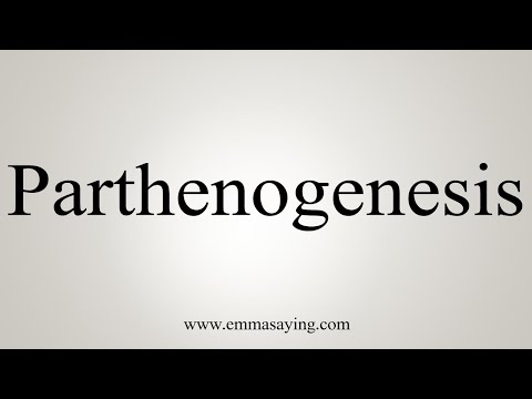 How To Say Parthenogenesis