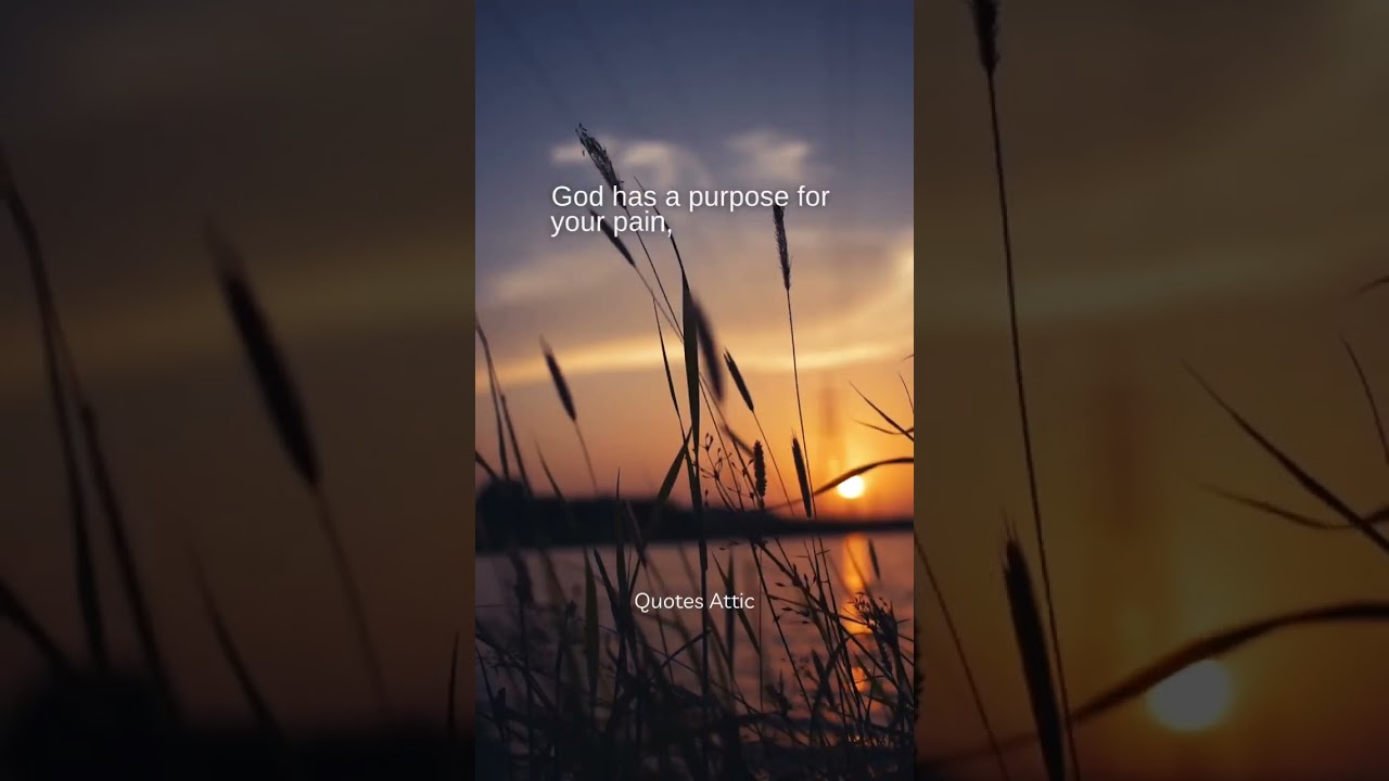 Trusting God's Plan 🙏🏻 Life Quotes #shorts #inspirationallifequotes #godsplan #deargod