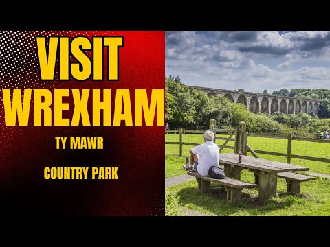 A Hidden Gem - Ty Mawr Country Park