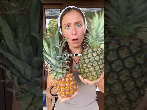 Why is pineapple cut into rings?