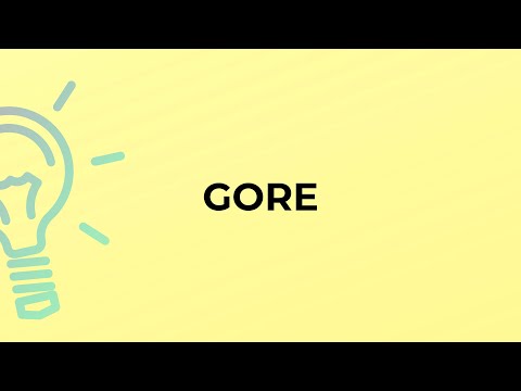 What is the meaning of the word GORE?
