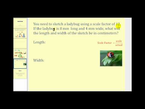 Scale Factor