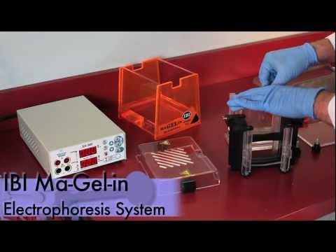 IBI Scientific Magelin Protein System