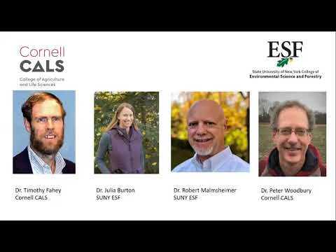 The Science Behind Forest Carbon Sequestration: Nature-Based Solutions to Climate Change