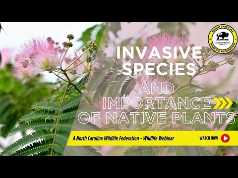 Invasive Species and the Importance of Native Plants - North Carolina Wildlife Federation