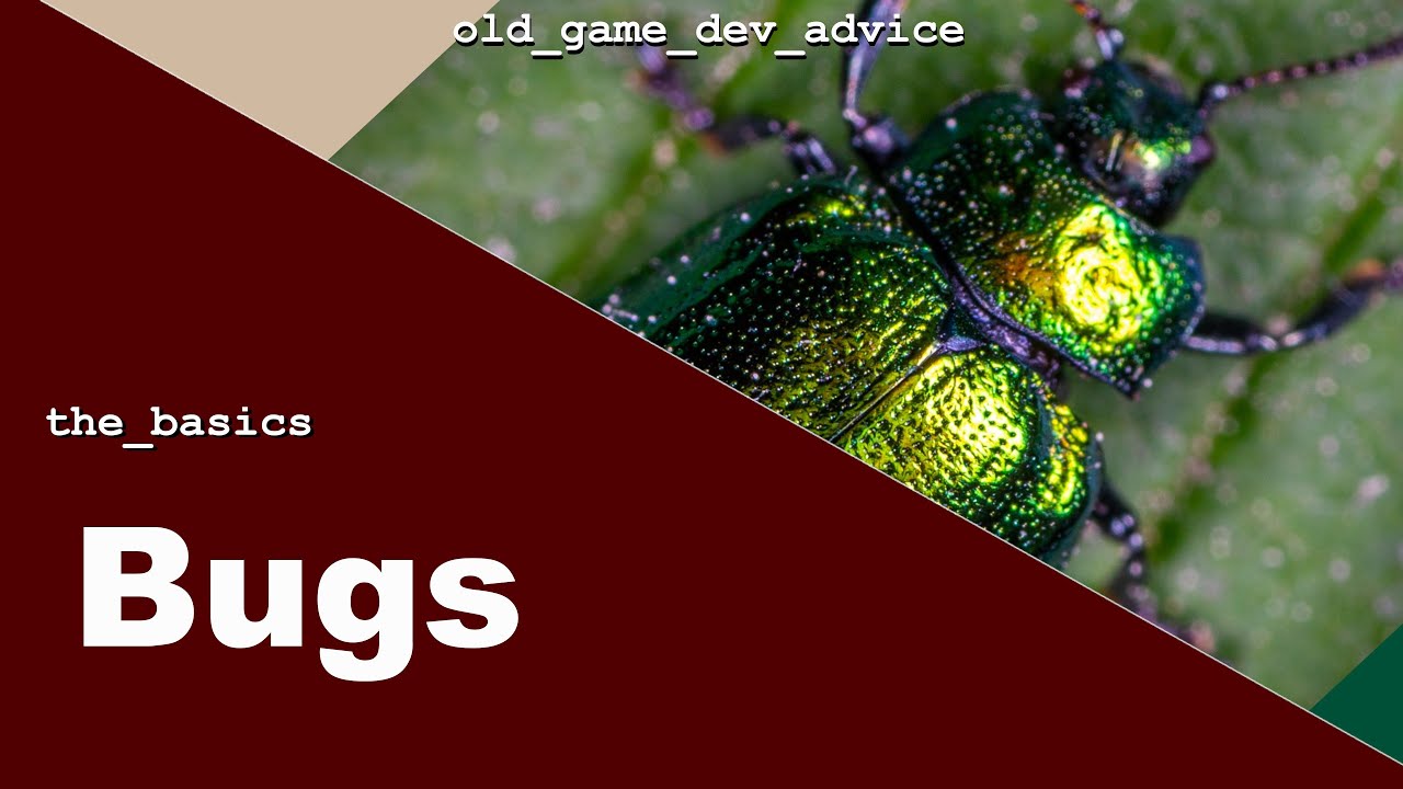 Videogame Bugs (Sources and Resolution) - The Basics