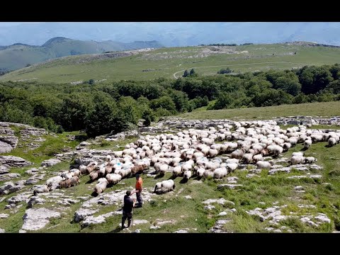 Pastoralisme et biodiversité